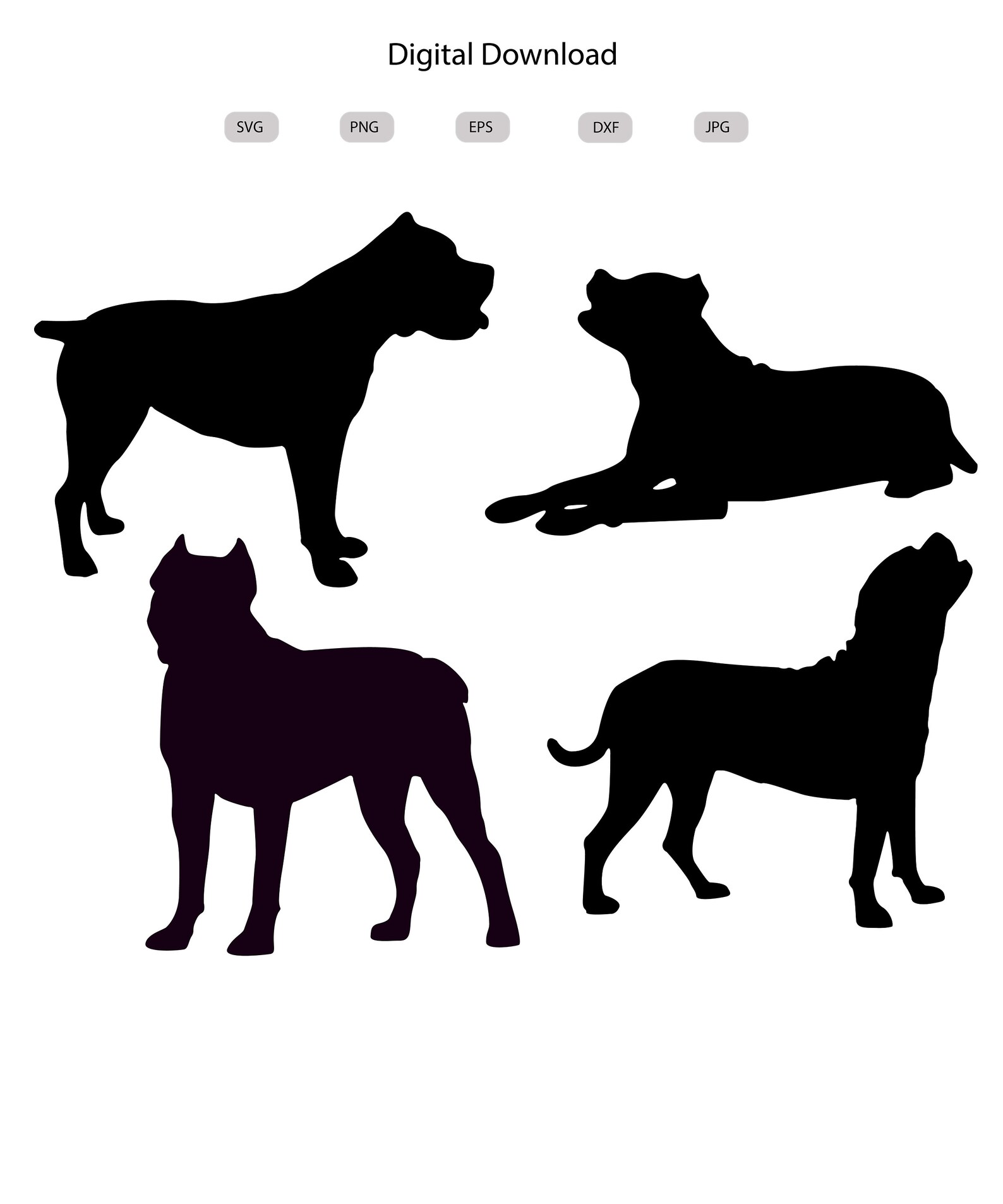 Cane Corso Svg Cane Corso Silhouette cane Corso Svg Bundle cane Corso ...