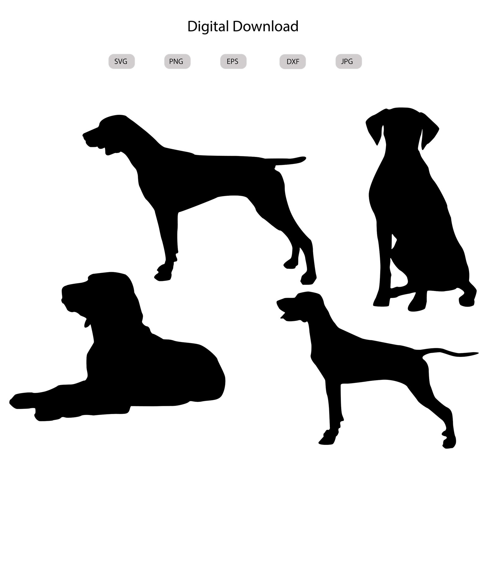Pointer Short Hair Svg - Pointer Short Hair Silhouette - Pointer Short ...