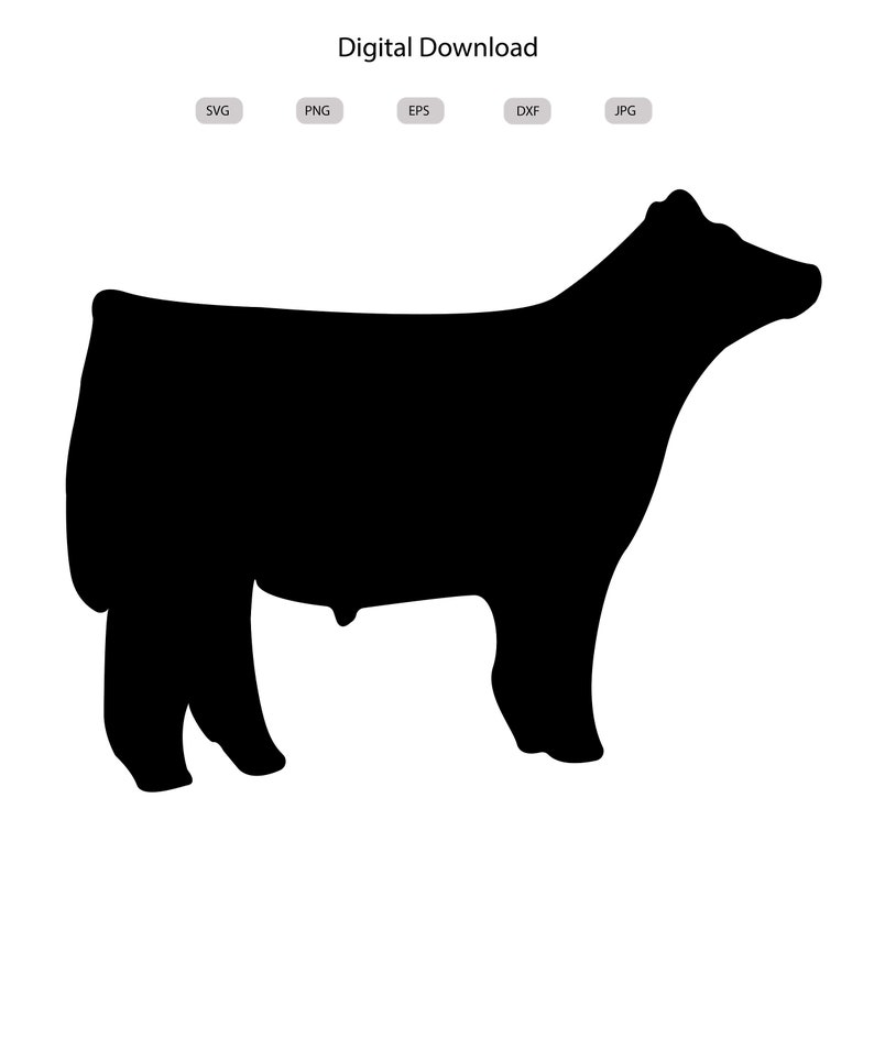 Show Steer Svg - Show Steer Silhouette - Show Steer Svg Bundle - Show ...