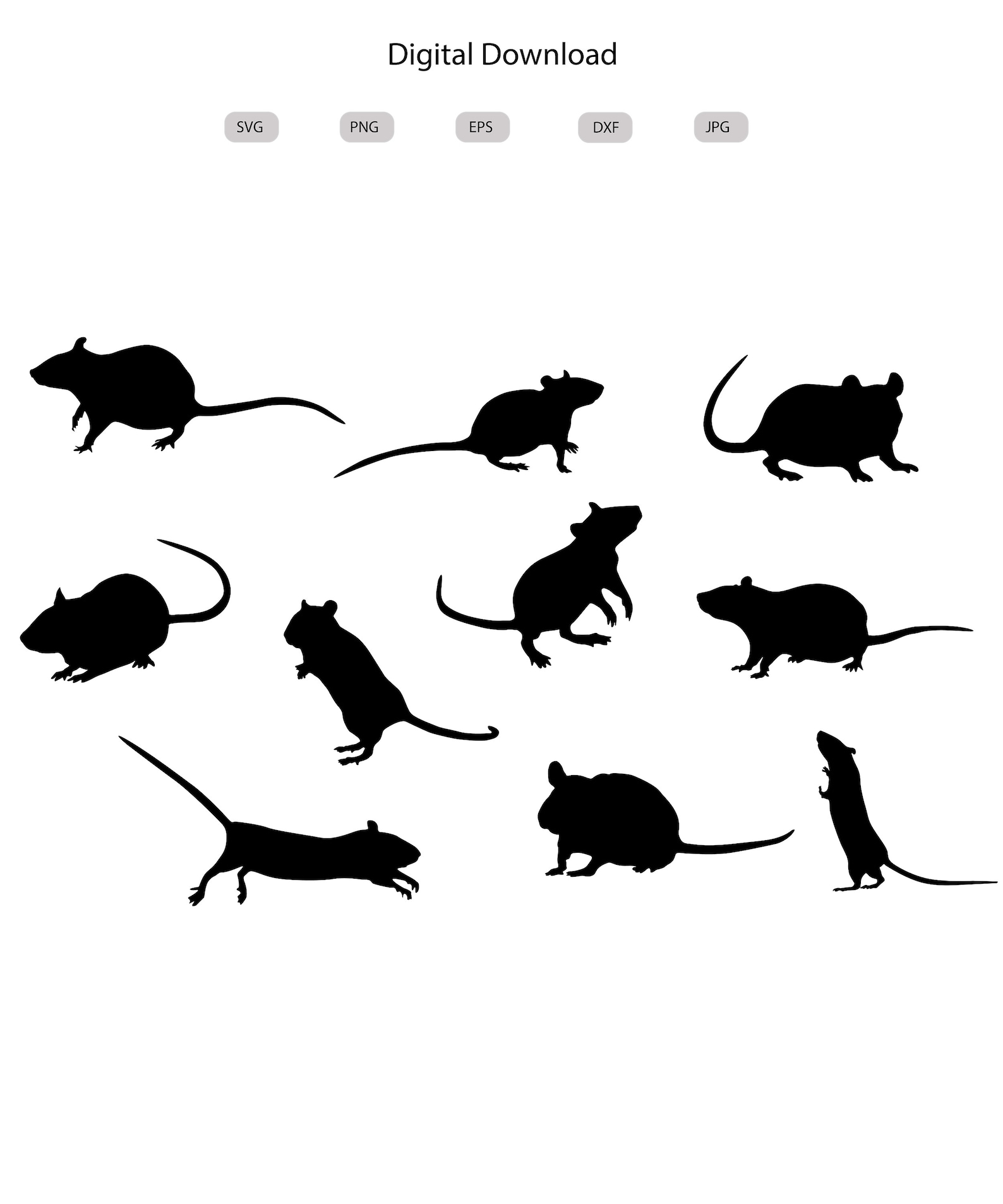Rat Svg Rat Silhouette Rat Svg Bundle rat Svg Design Rat Cut File Rat ...