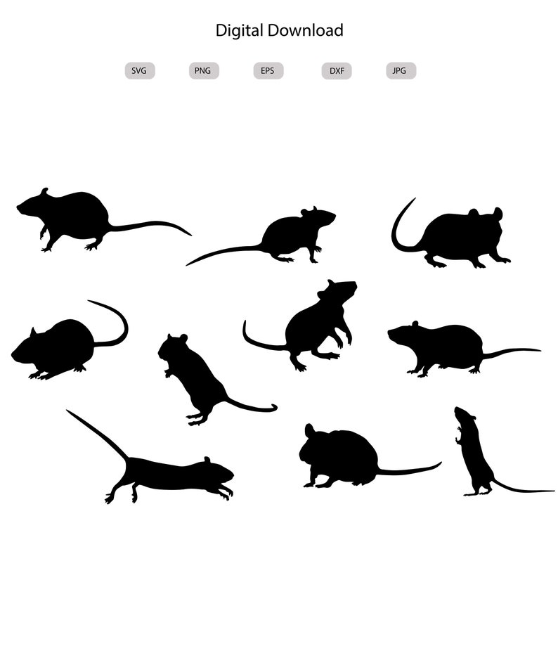 Rat Svg - Rat Silhouette - Rat Svg Bundle -rat Svg Design- Rat Cut File ...