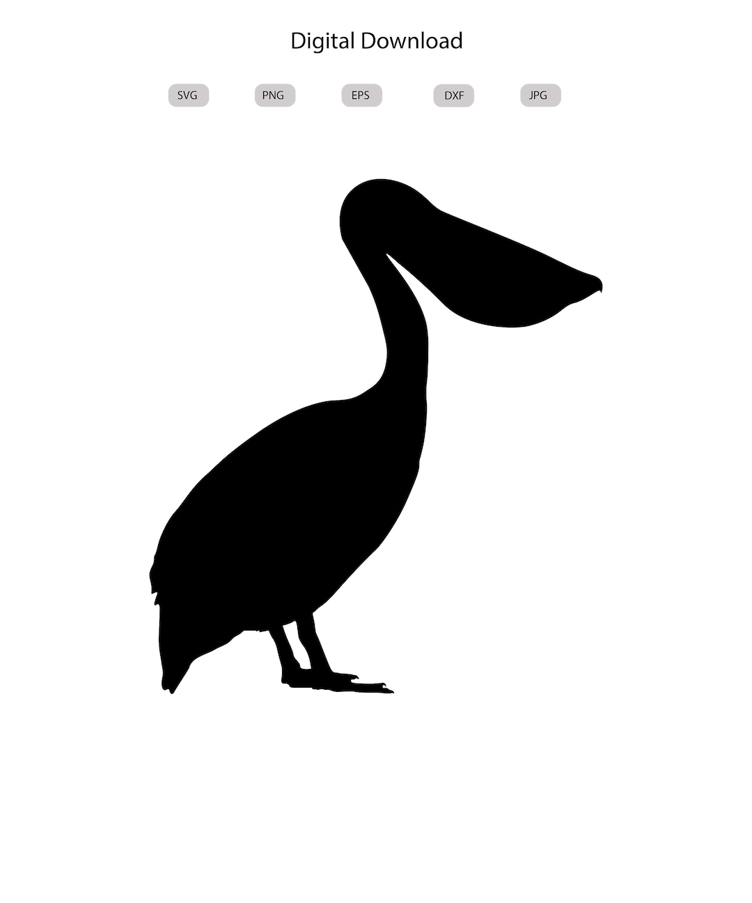 Pelican Svg - Pelican Silhouette - Pelican Svg Bundle -pelican Svg ...