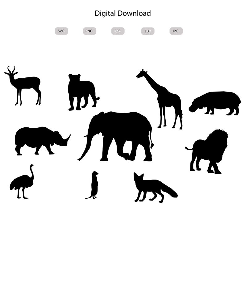 African Animals Svg - African Animals Silhouette - African Animals Svg ...