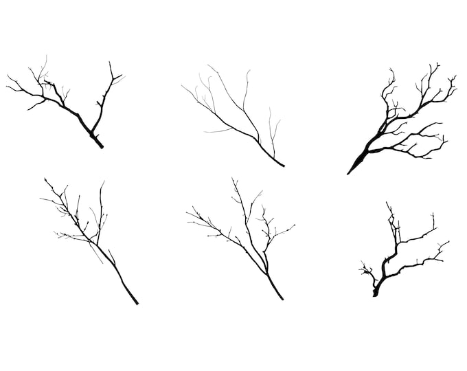 Tree Branch Svg Bundle, Tree Limb Svg, Tree Twig Svg, Branch Clipart ...