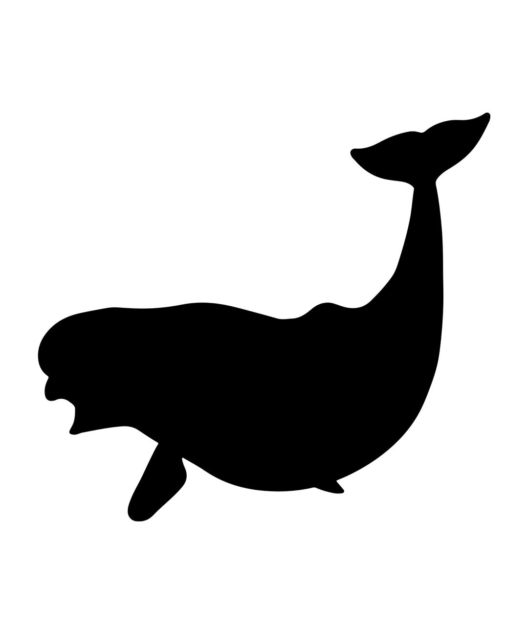 Beluga White Whale Svg- Beluga White Whale Silhouette- Beluga White ...