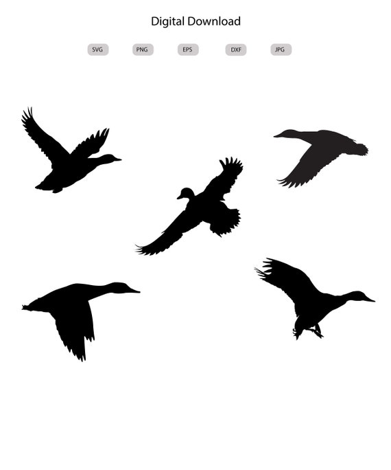 Flying Duck Silhouette