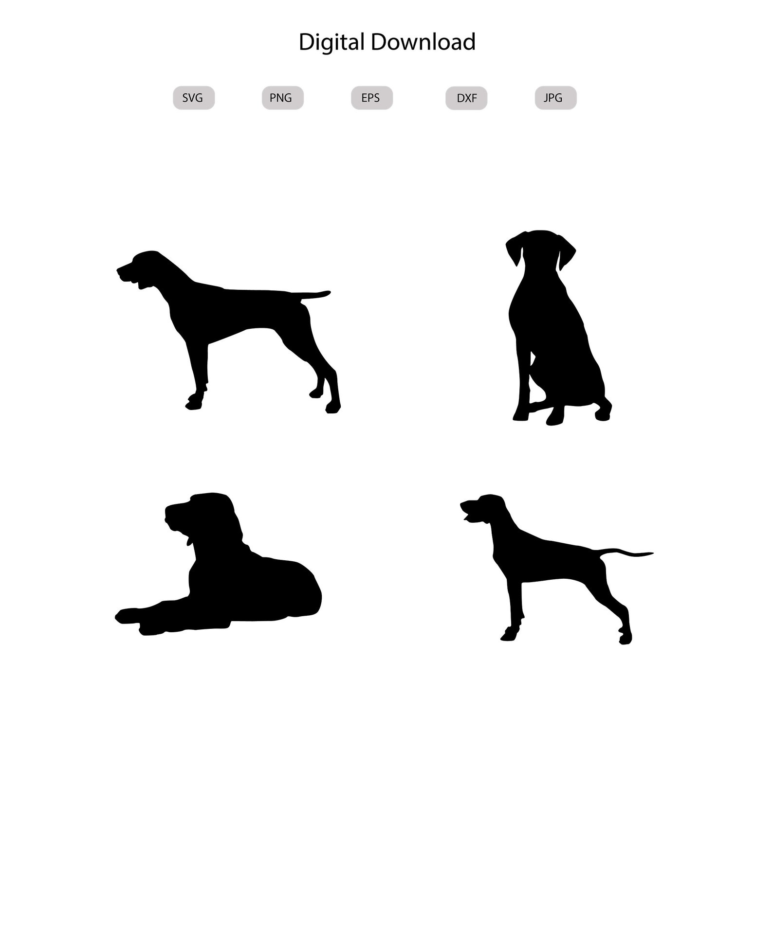 Pointer Short Hair Svg Pointer Short Hair Silhouette - Etsy