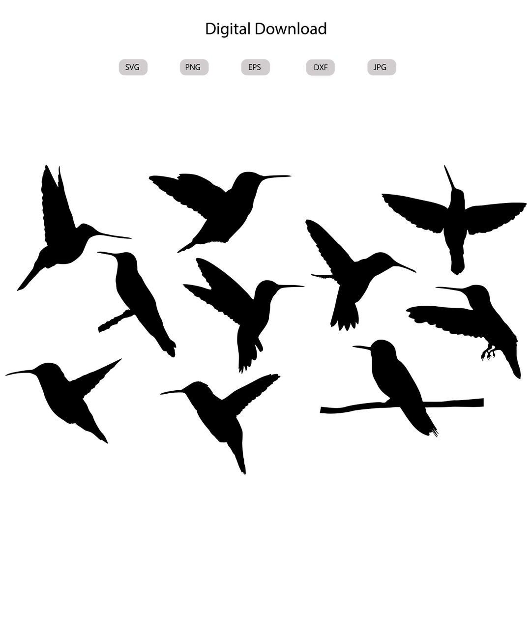 Hummingbird Svg - Hummingbird Silhouette - Hummingbird Svg Bundle ...