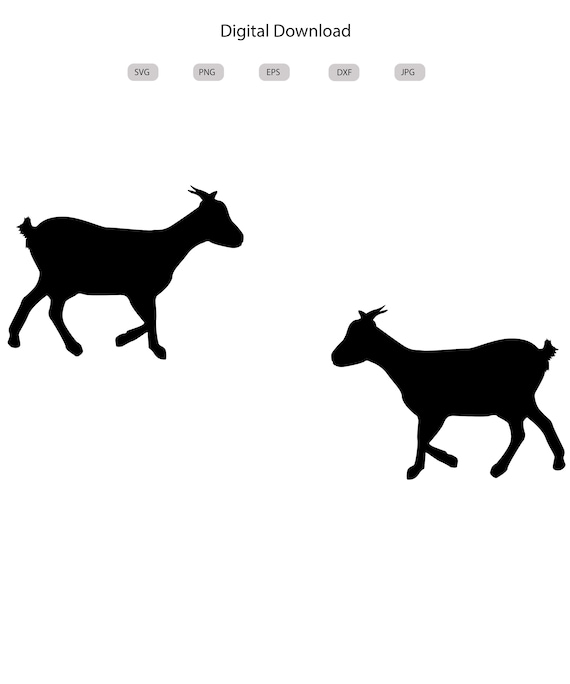 Nigerian Dwarf Goat Svg Nigerian Dwarf Goat Etsy