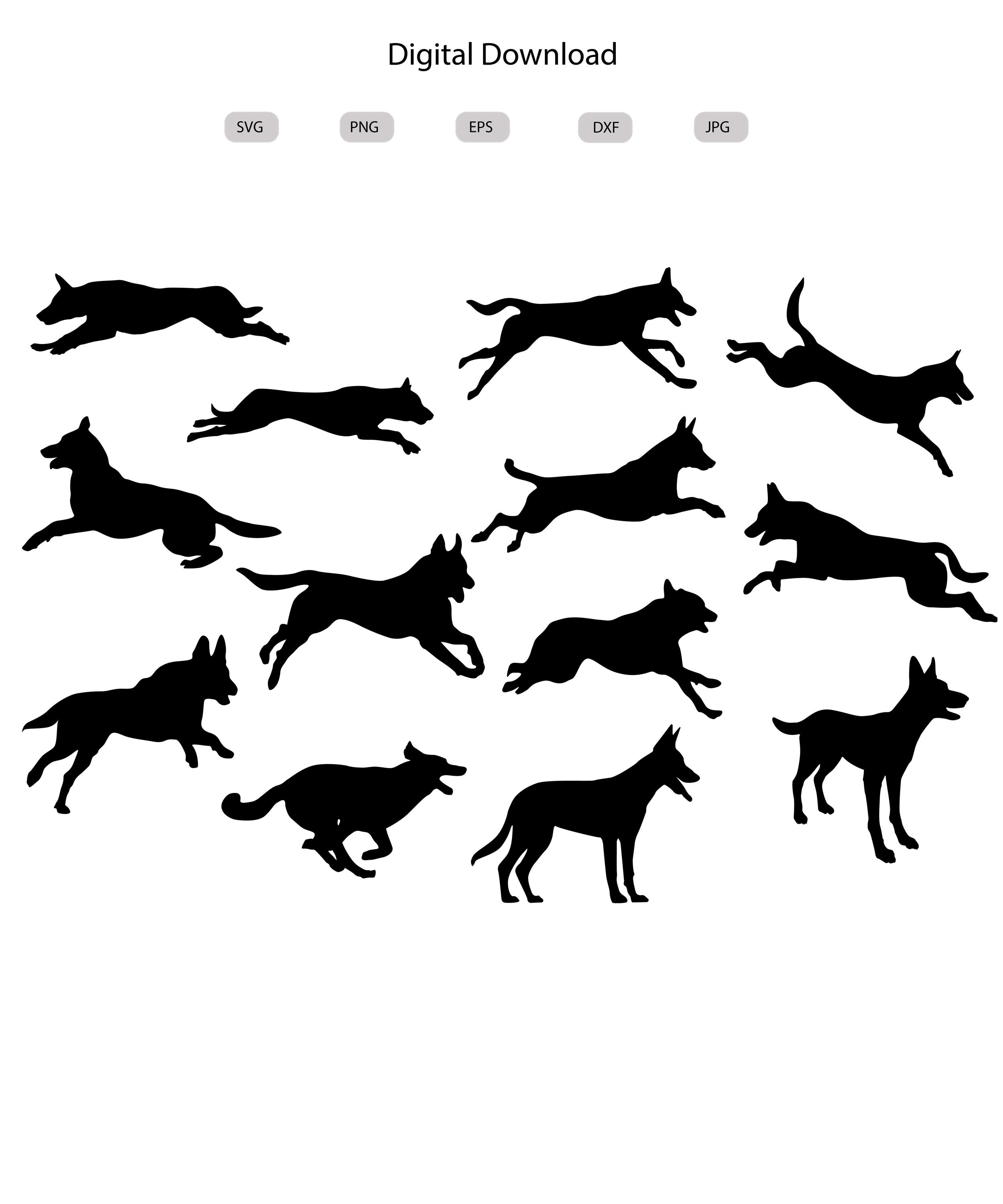 Running Malinois Svg - Malinois Silhouette - Malinois Svg Bundle ...