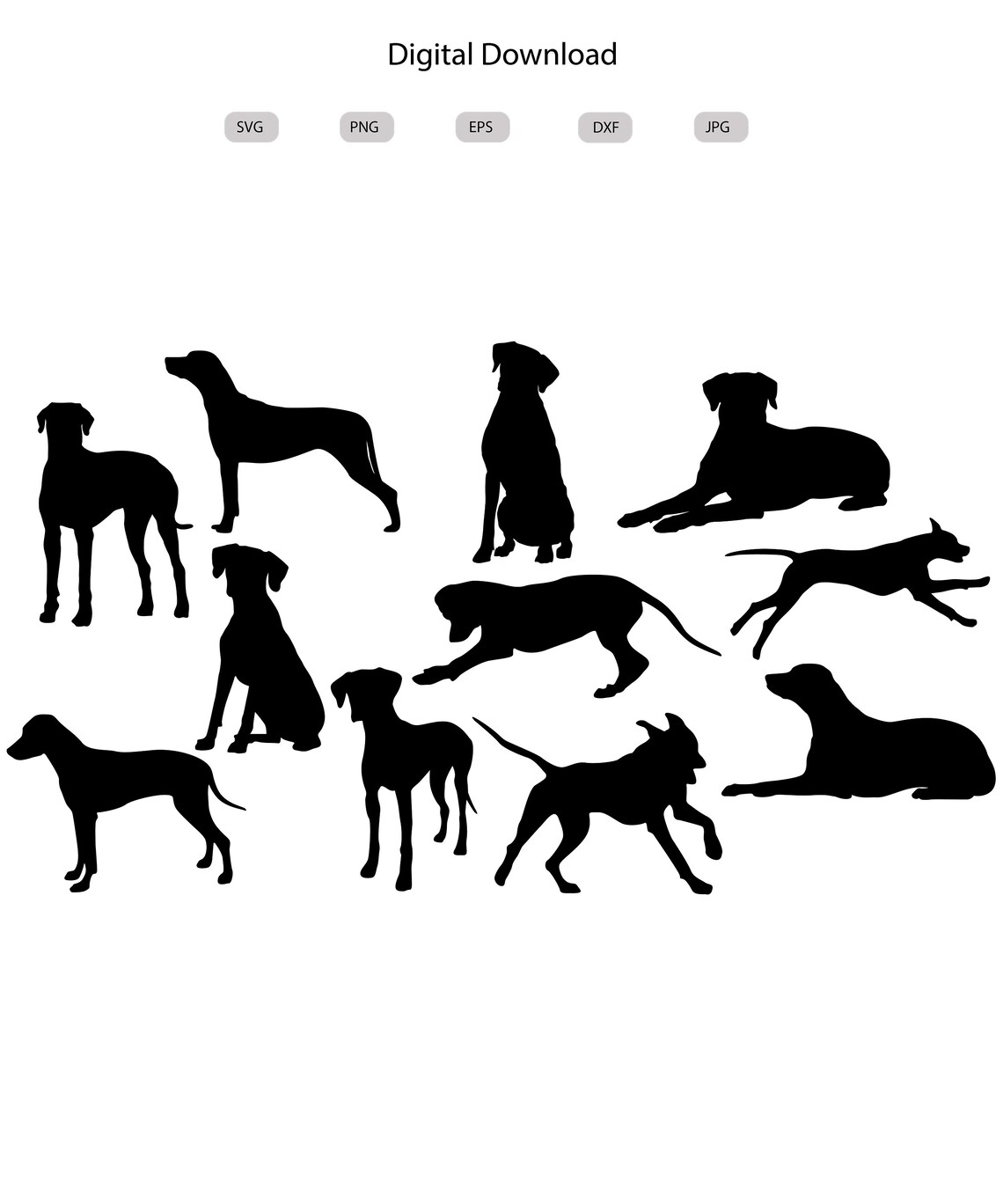 Rhodesian Ridgeback Svg - Rhodesian Ridgeback Silhouette -rhodesian ...