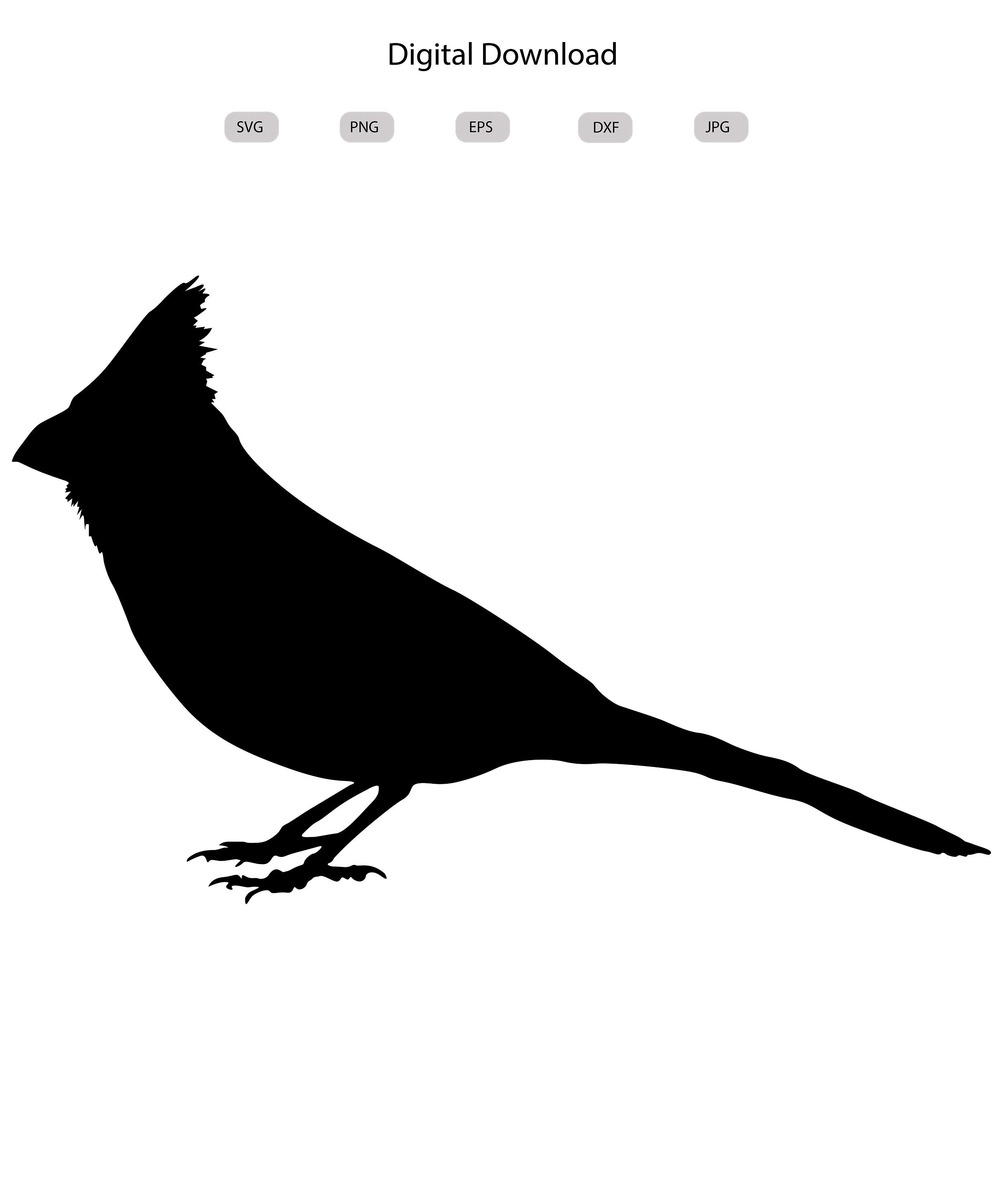 Cardinal Svg Cardinal Silhouette Cardinal Svg Bundle cardinal Svg ...
