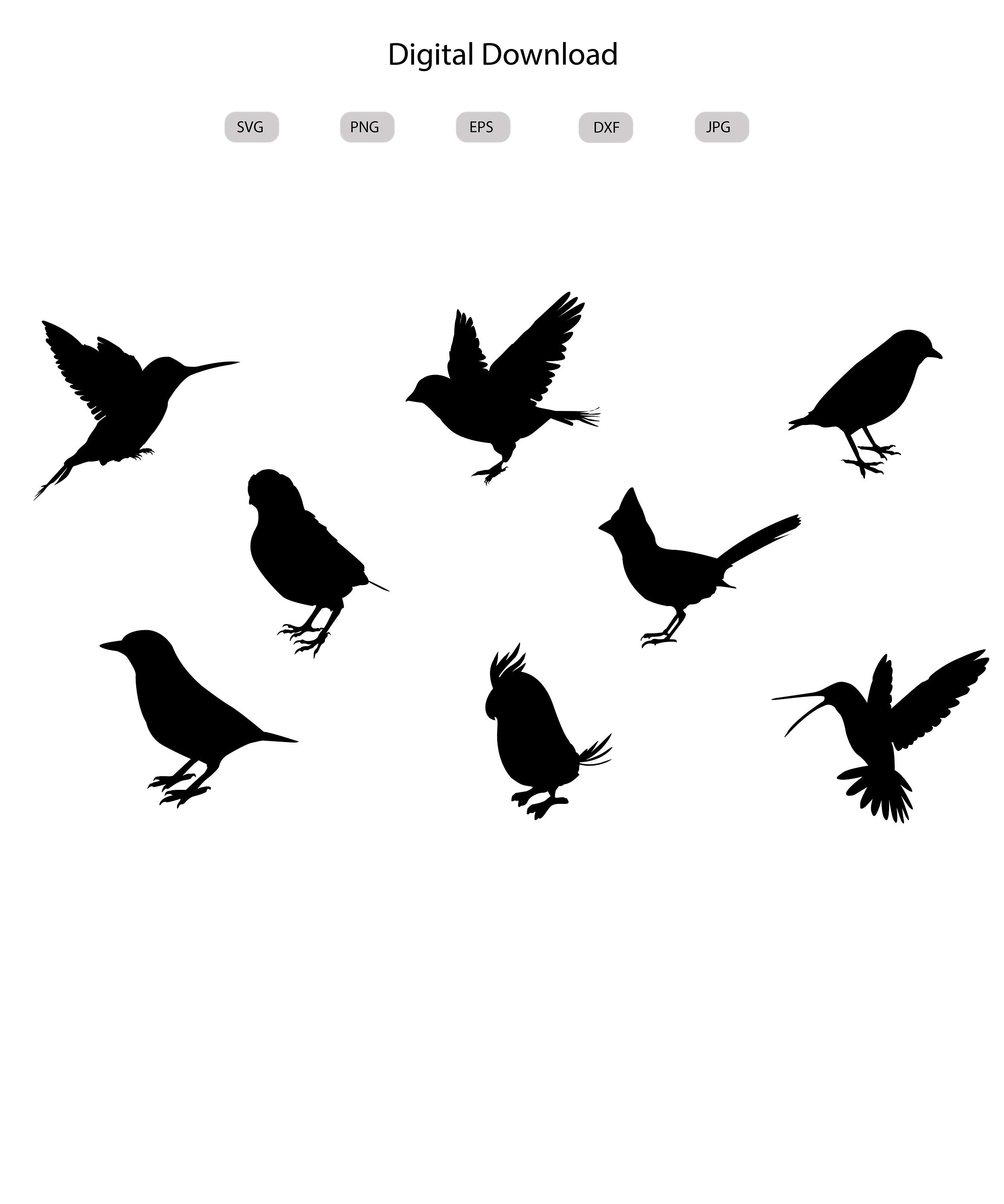 Birds Svg Birds Silhouette Birds Svg Bundle birds Svg - Etsy