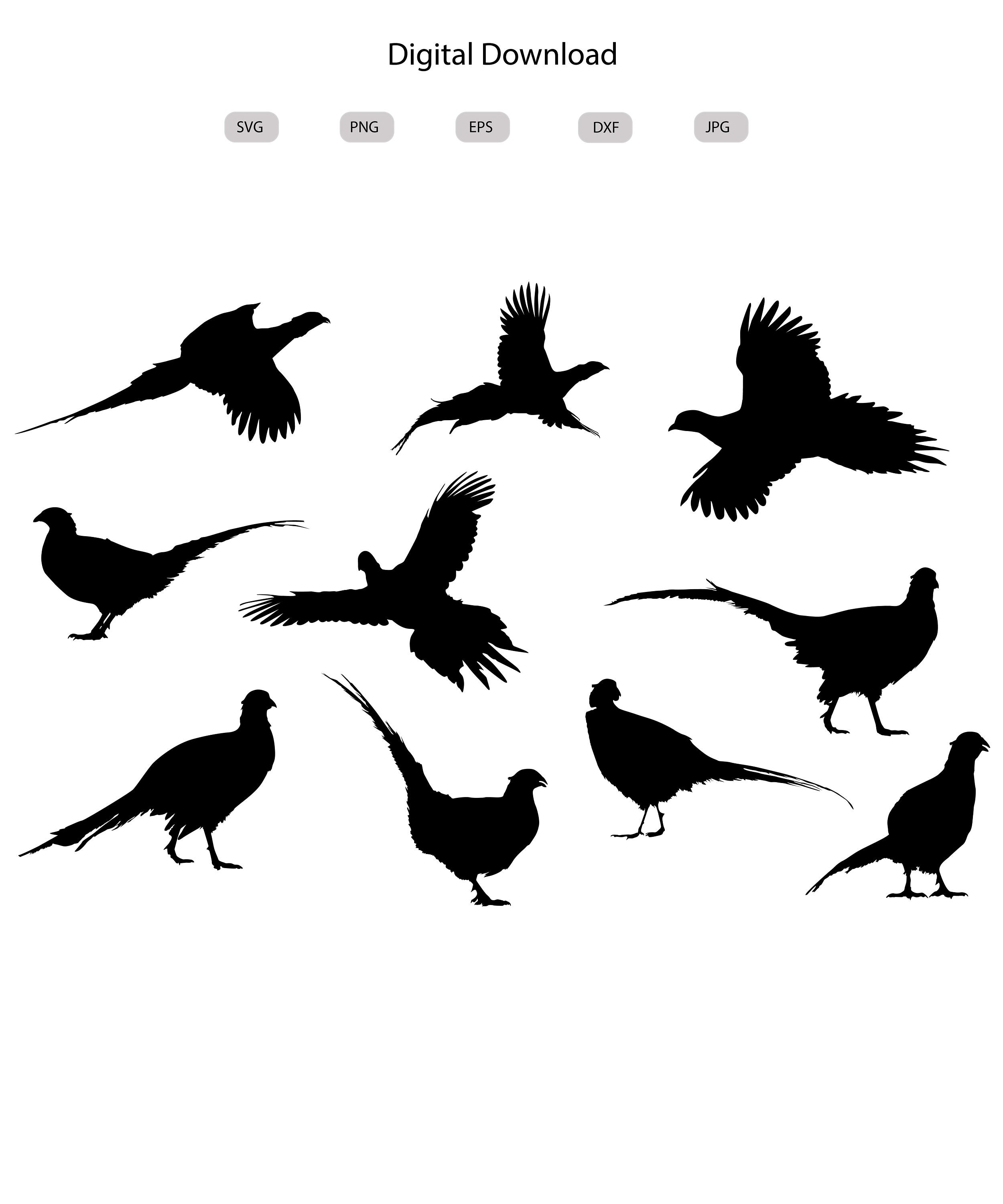 Pheasant Bird Svg - Pheasant Bird Silhouette - Pheasant Bird Svg Bundle ...