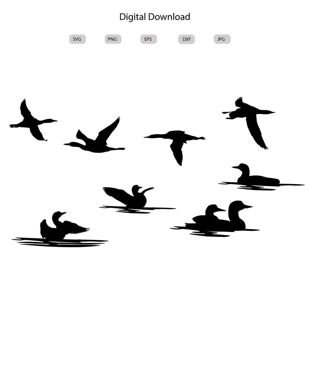 Loon Svg - Loon Silhouette - Loon Svg Bundle -loon Svg Design- Loon Cut ...