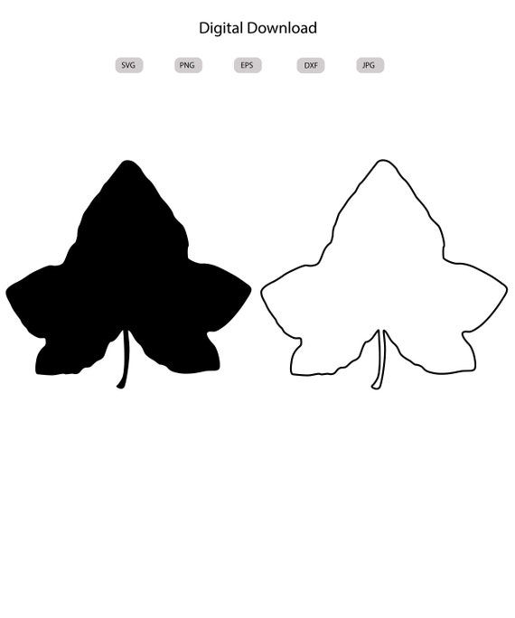 Ivy Leaf Svg ivy Leaf Silhouette ivy Leaf Svg Bundle-ivy - Etsy Canada