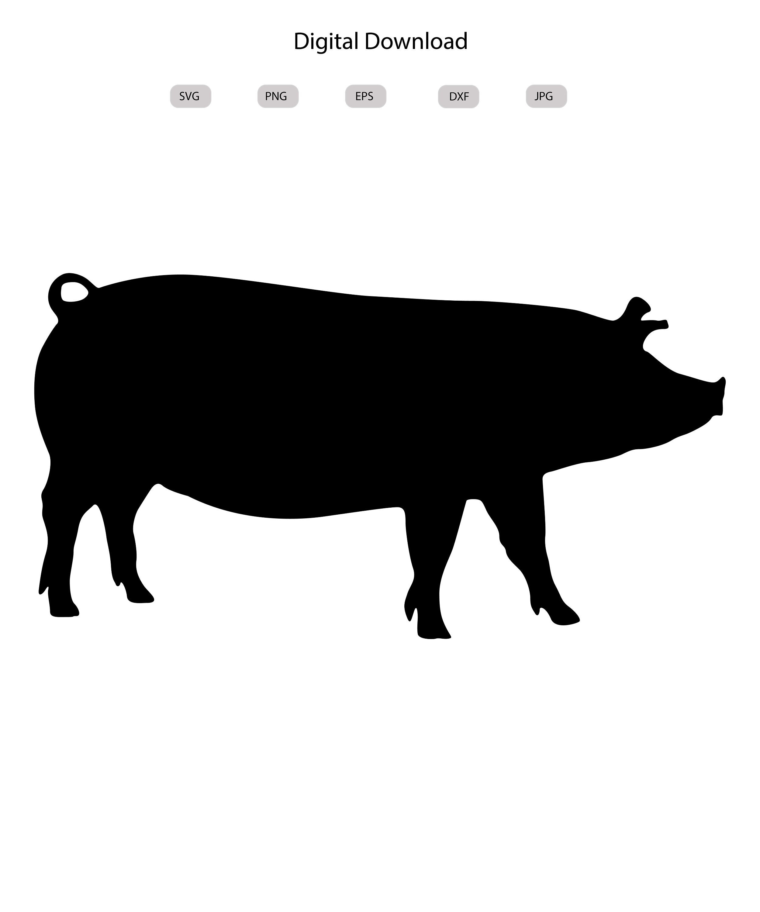 Show Pig Svg - Show Pig Silhouette - Show Pig Svg Bundle - Show Pig Svg ...