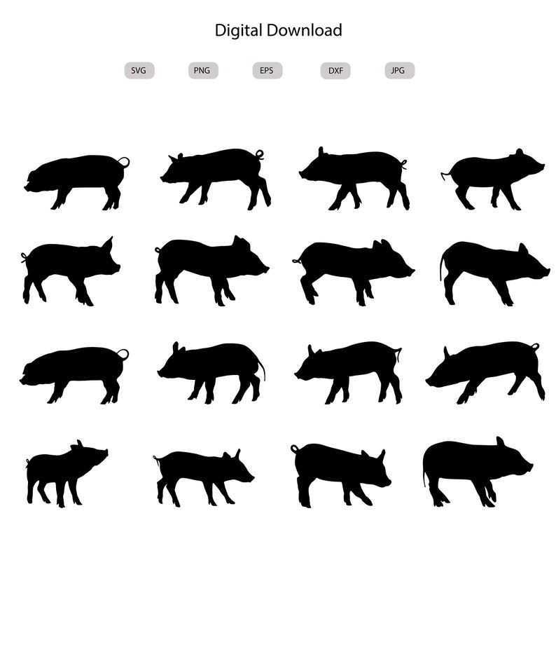 Pig Svg Pig Silhouette Pig Svg Bundle pig Svg Design Pig Cut File Pig ...