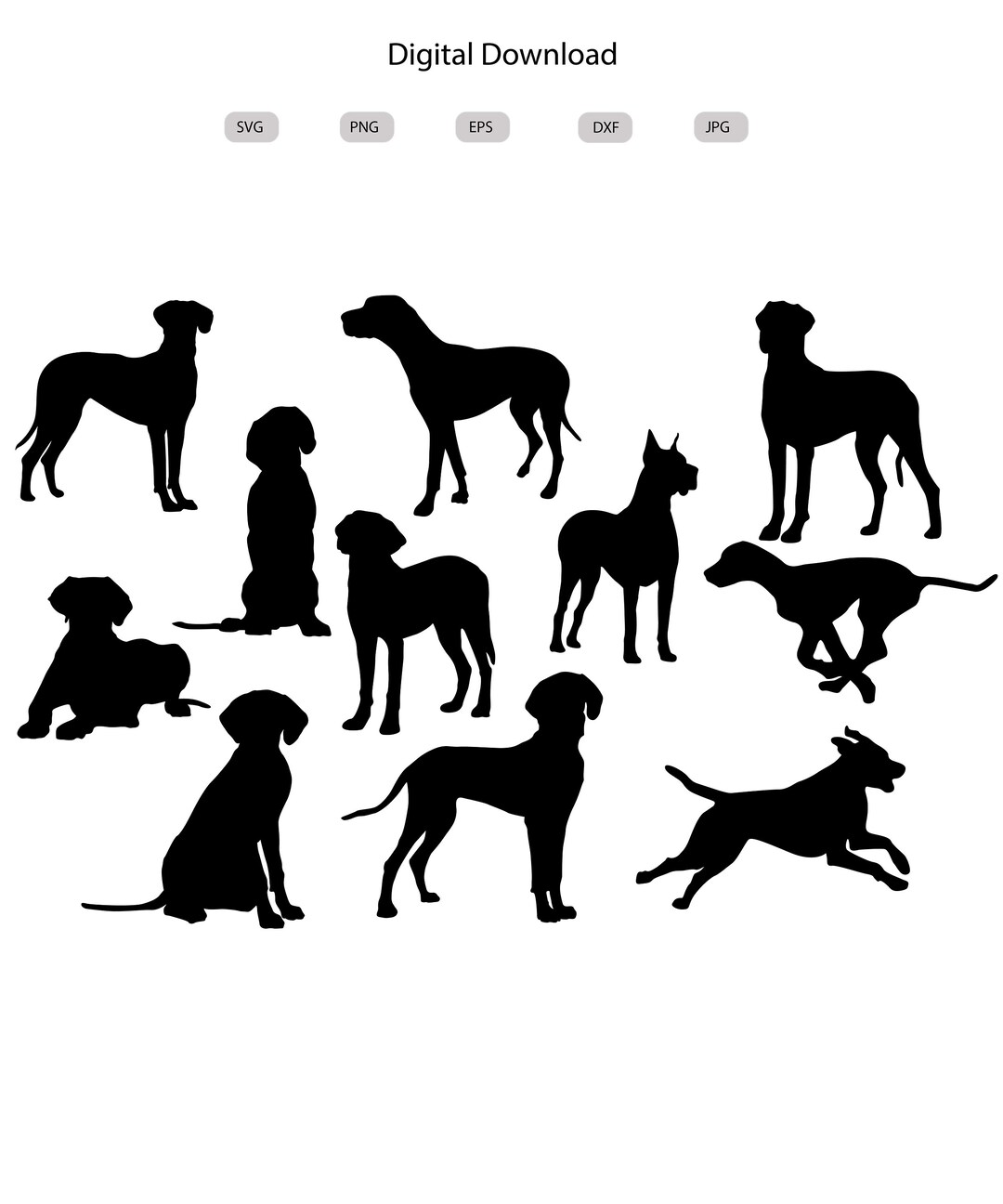 Great Dane Dog Svg - Great Dane Silhouette - Great Dane Svg Bundle ...