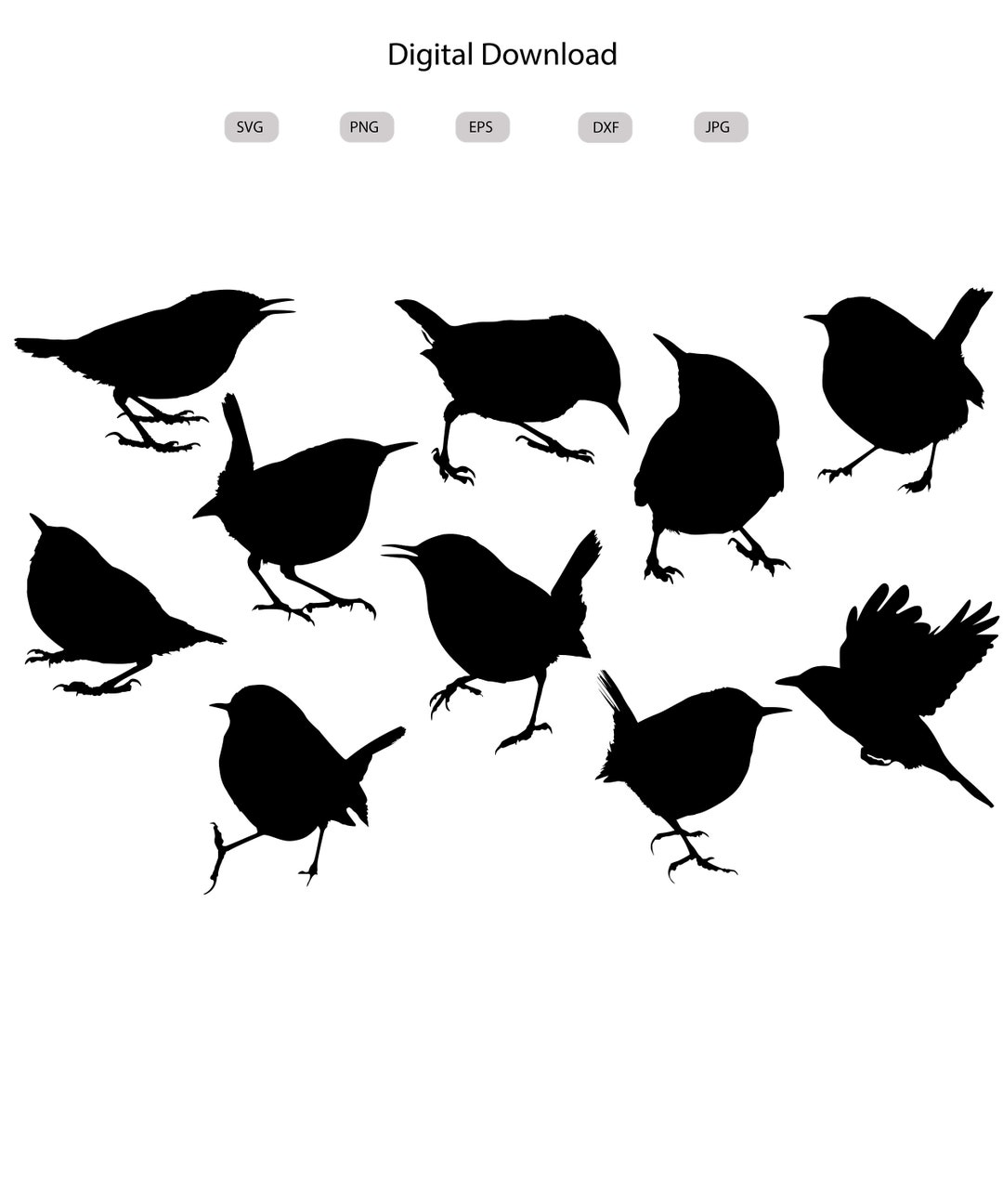 Wren Bird Svg - Wren Bird Silhouette - Wren Bird Svg Bundle -wren Bird ...