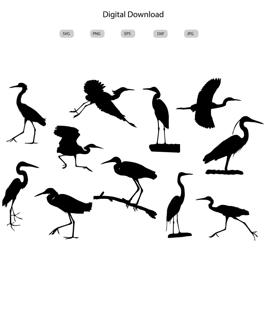Egrets Svg - Egrets Silhouette - Egrets Svg Bundle -egrets Svg Design ...