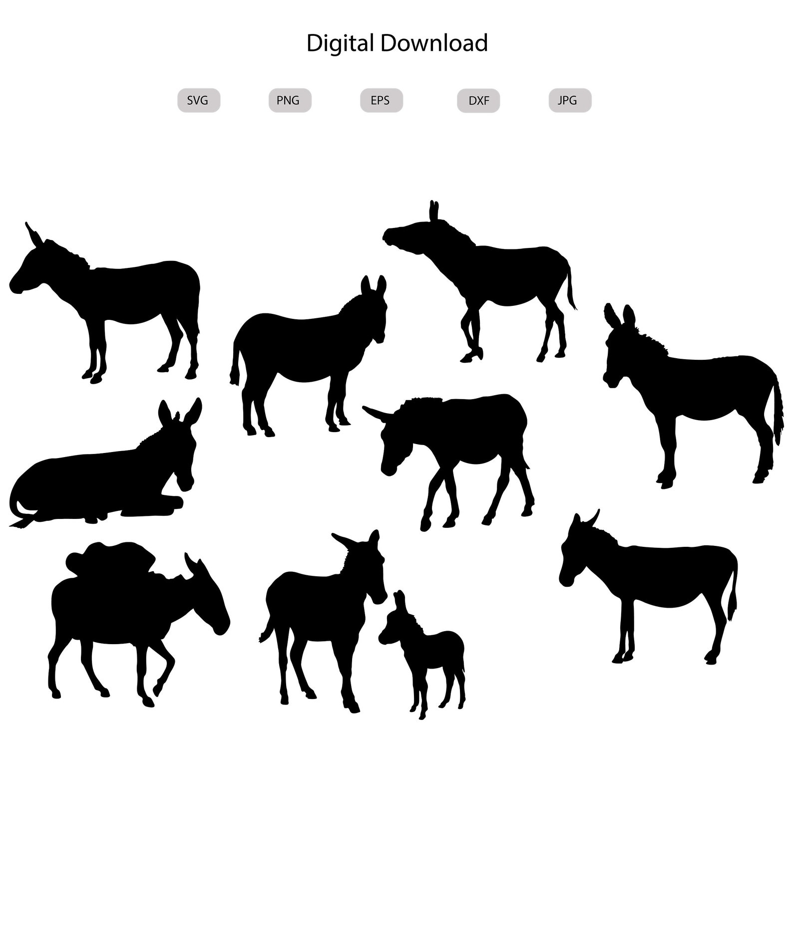 Mule Svg - Mule Silhouette - Mule Svg Bundle - Mule Svg Design- Mule ...