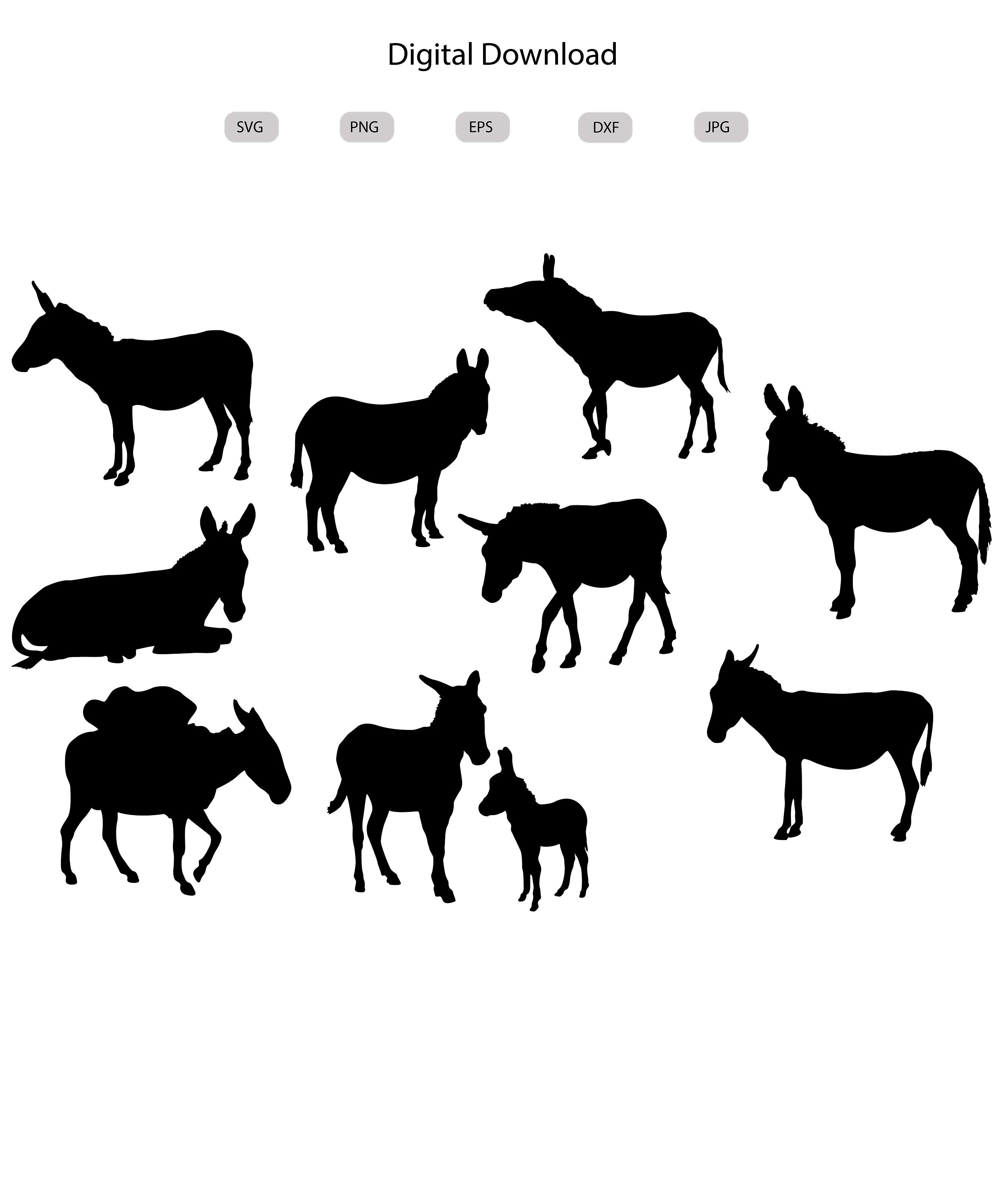 Mule Svg - Mule Silhouette - Mule Svg Bundle - Mule Svg Design- Mule ...