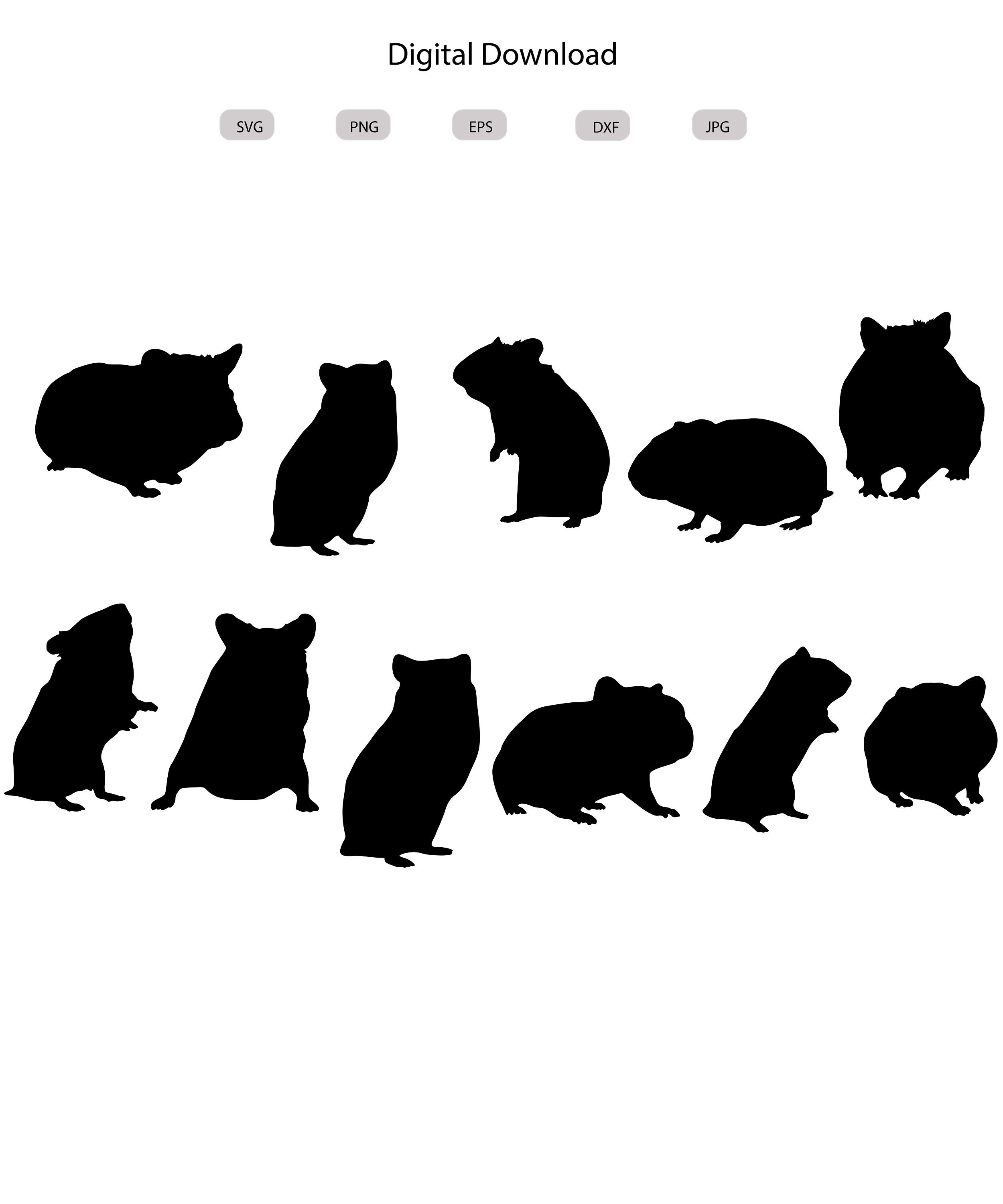Hamster Svg - Hamster Silhouette - Hamster Svg Bundle -hamster Svg ...