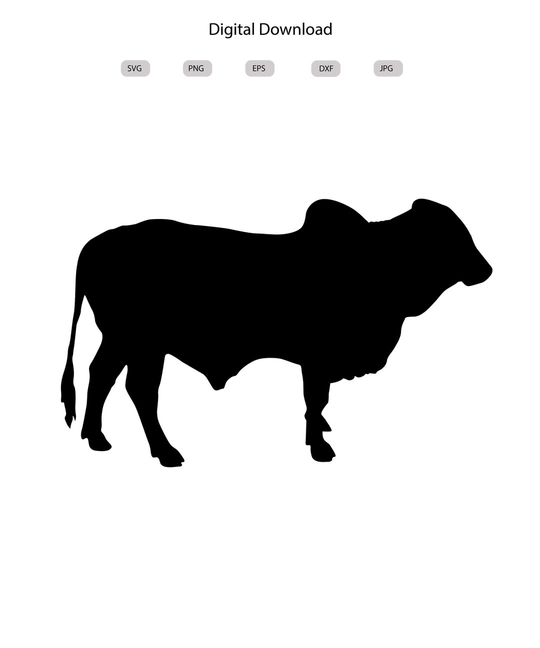 Brahman Bull Svg - Brahman Bull Silhouette - Brahman Bull Svg Design ...