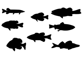 Crappie Outline Svg - Etsy