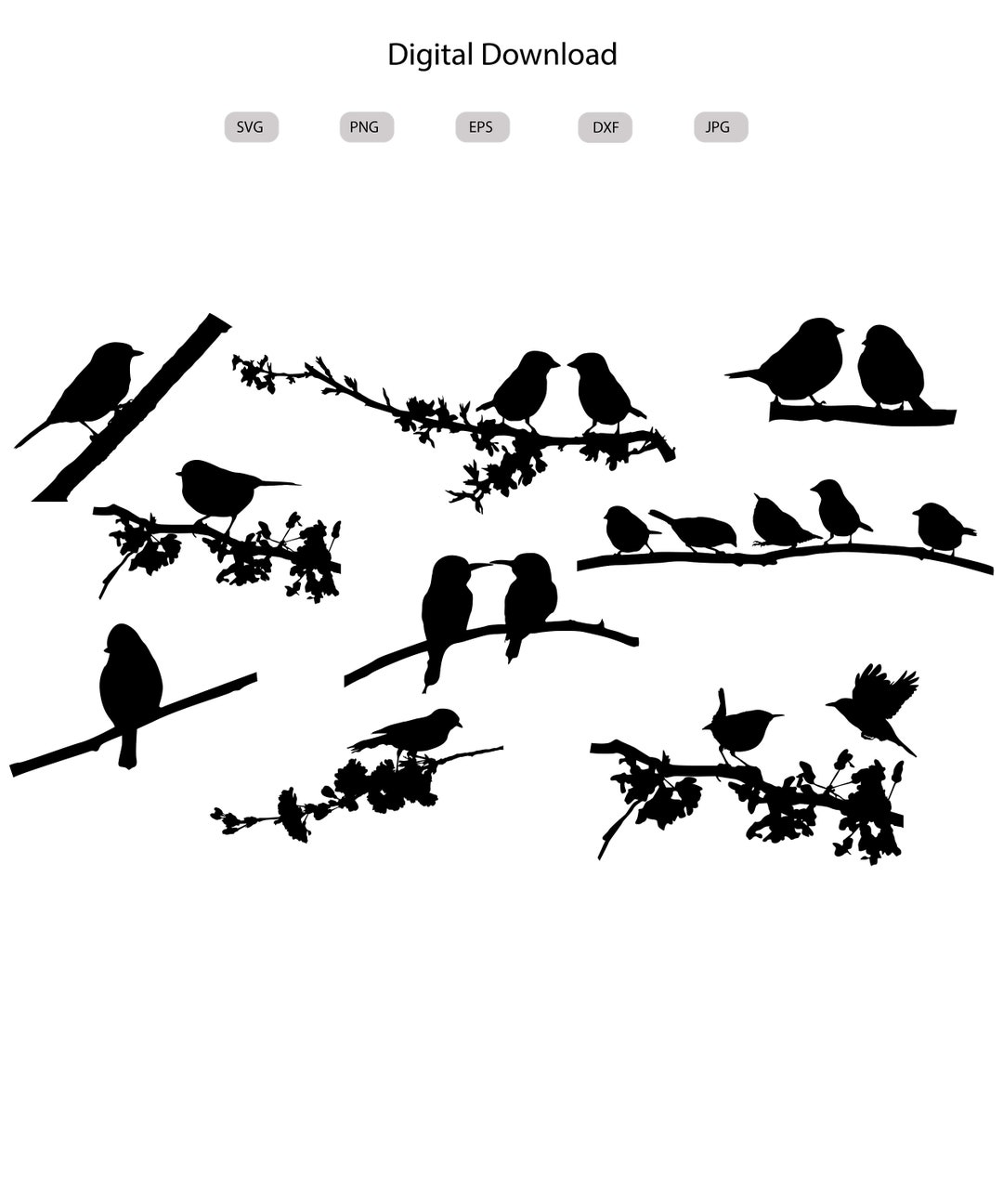 Birds Svg Birds Silhouette Birds Svg Bundle birds Svg Design Birds Cut ...
