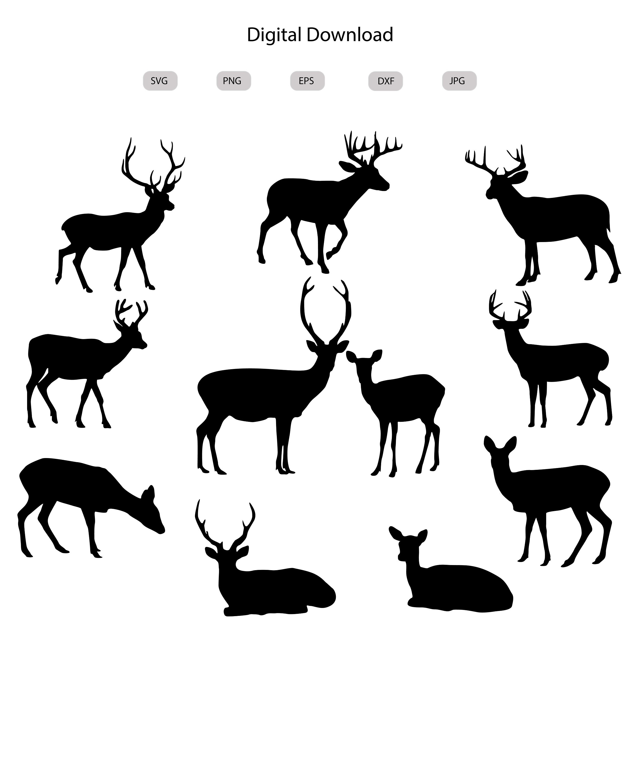 Deer Svg Deer Silhouette Deer Svg Bundle Deer Svg Design Deer Cut File