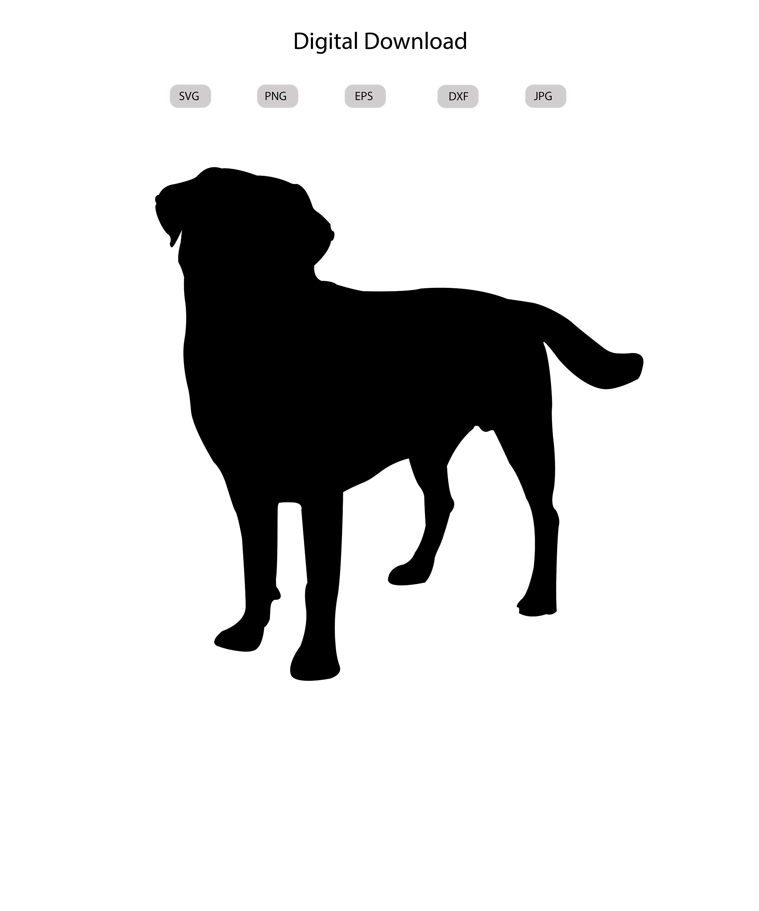 Labrador Retriever Svg-labrador Retriever Silhouette- Labrador ...