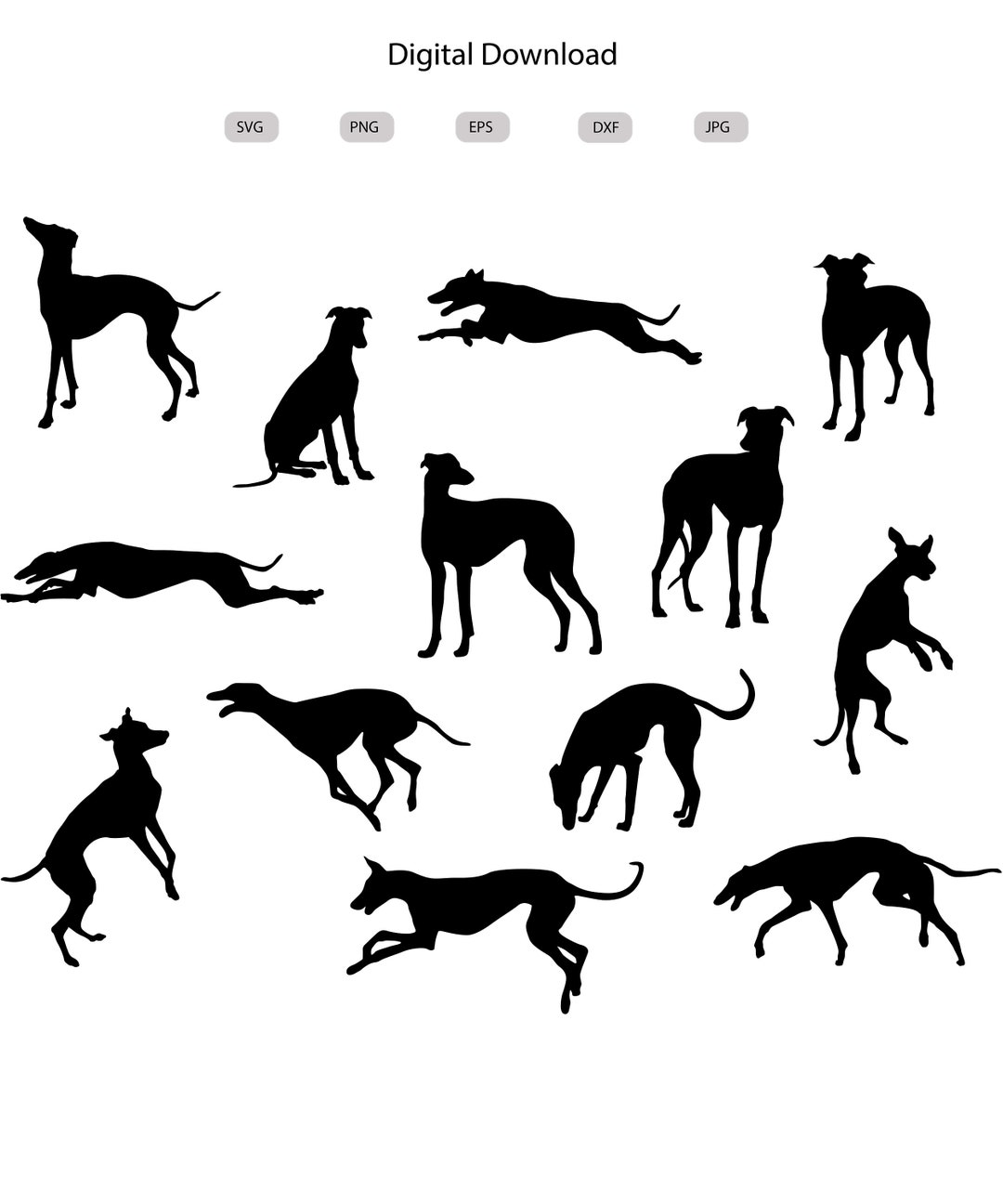 Greyhound Svg - Greyhound Silhouette - Greyhound Svg Bundle - Greyhound ...