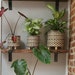 Thick Shelf 22cm With Z Lip Brackets, Custom Size, Reclaimed Solid Wood ...