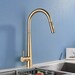 Thickened Brass Brushed Nickel Golden Kitchen Faucet Pull Out Spray ...