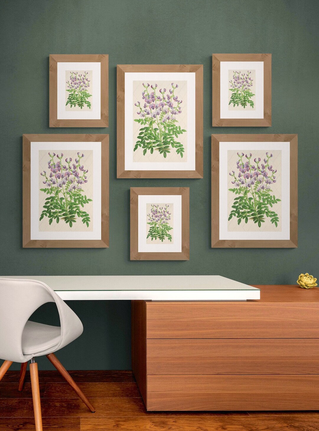 Study in Purple Darling Pea Flower Stem. Botanical Naturalist Victorian ...