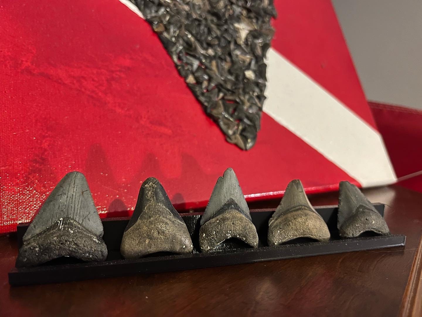 Megalodon Multiple Tooth Stand - Etsy