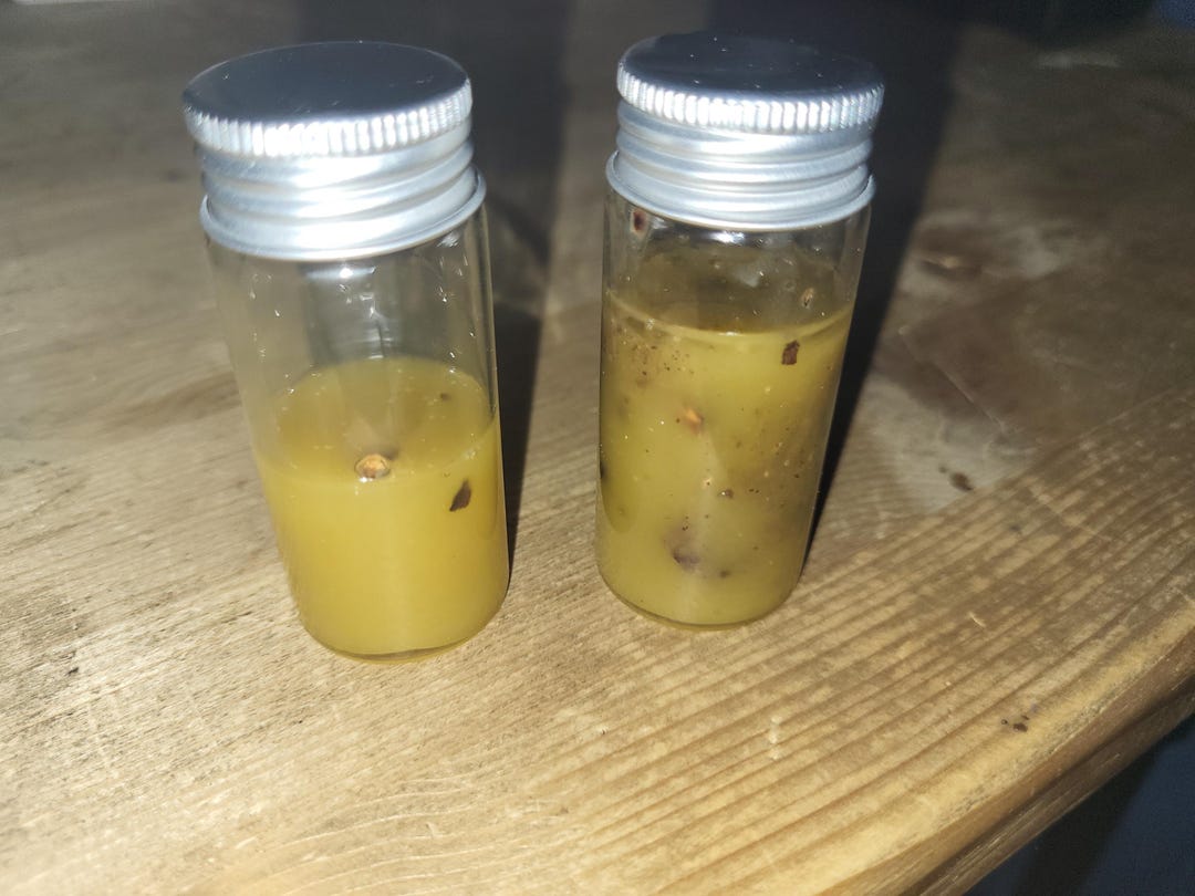 Balsam Fir Resin - Etsy