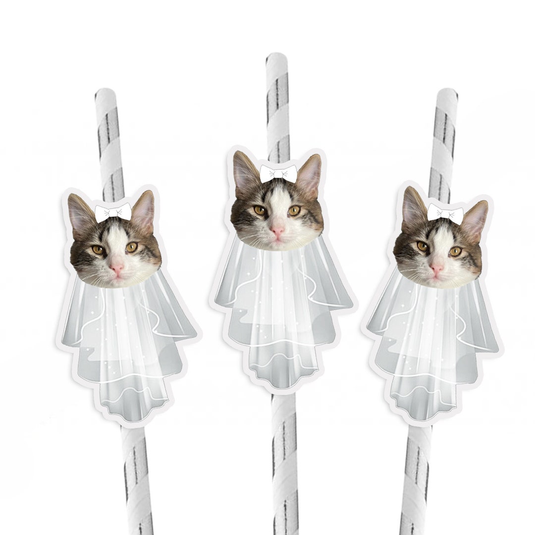 Bachelorette Party Cat Face With Veil Straws: Meowied Theme, Set of 10 ...