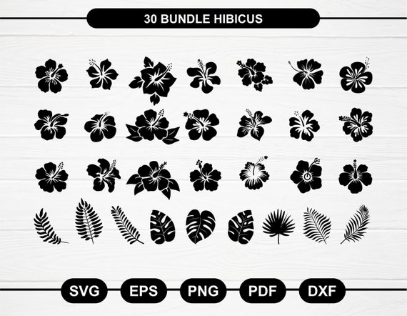 Tropical Floral Svg Tropical Plant Svg Hibiscus Svg | Etsy