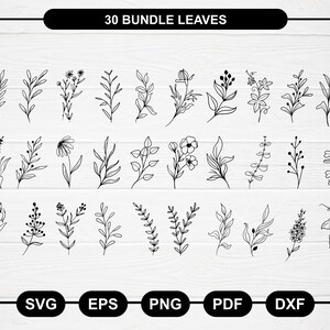 Leaves Svg, Hand Drawn Leaves Svg, Greenry Svg, Leaf Svg, Leaf Vector ...