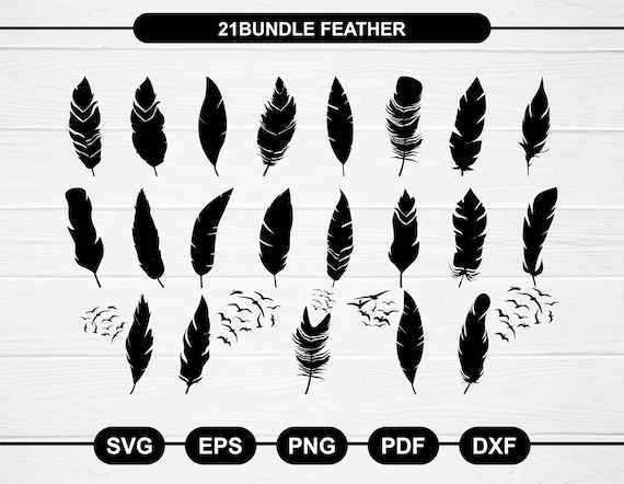 Feather Svg Feather Svg Bundle Feather Clipart Feather | Etsy