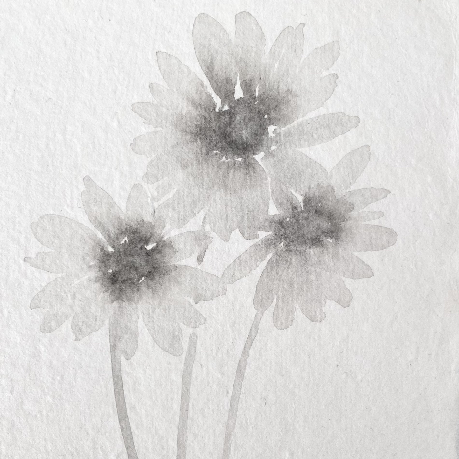 Delicate Flower Study Painting of Daisies Vol.i - Etsy