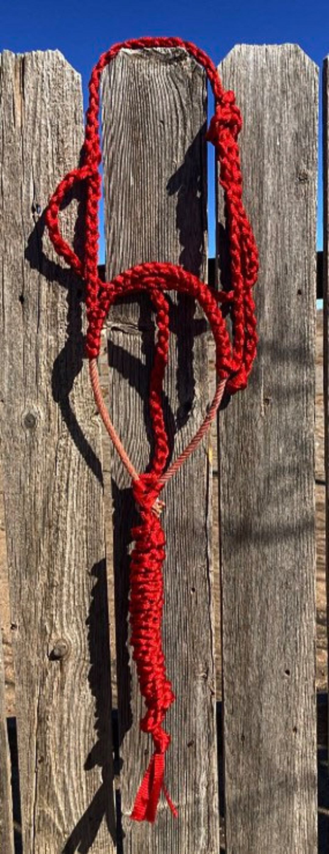 Wrapped Nose Mule Tape Halters - Etsy