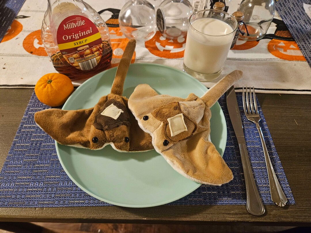 Pancake Stingray - Etsy