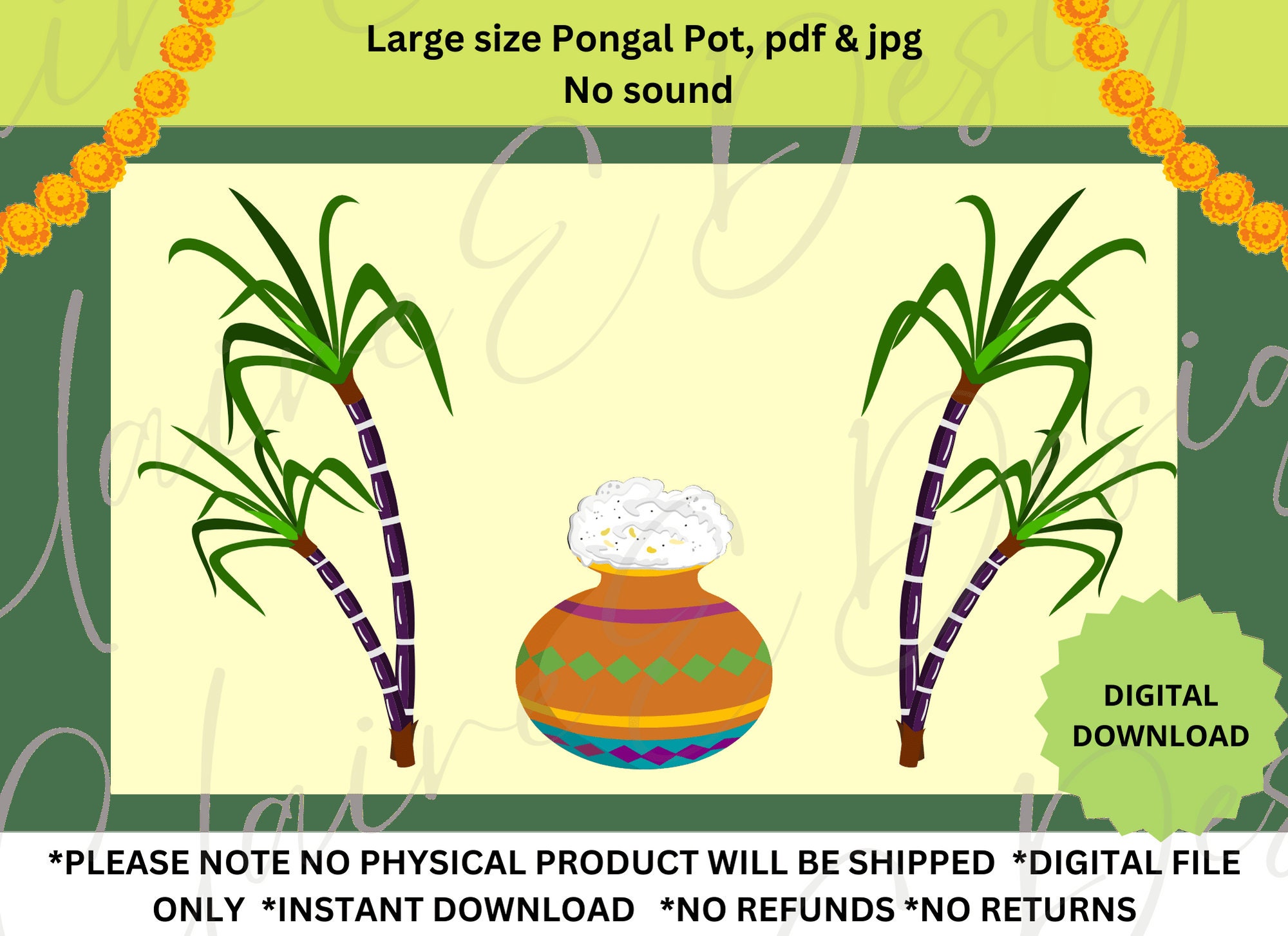 Pongal Pot and Sugarcane Tree Large Size, Makar Sankranti Pot, Pongal ...