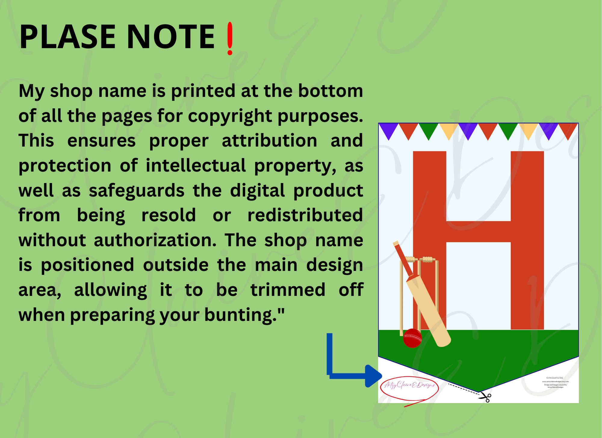 Printable CRICKET Birthday Bunting, Cricket Themed Party Bunting ...