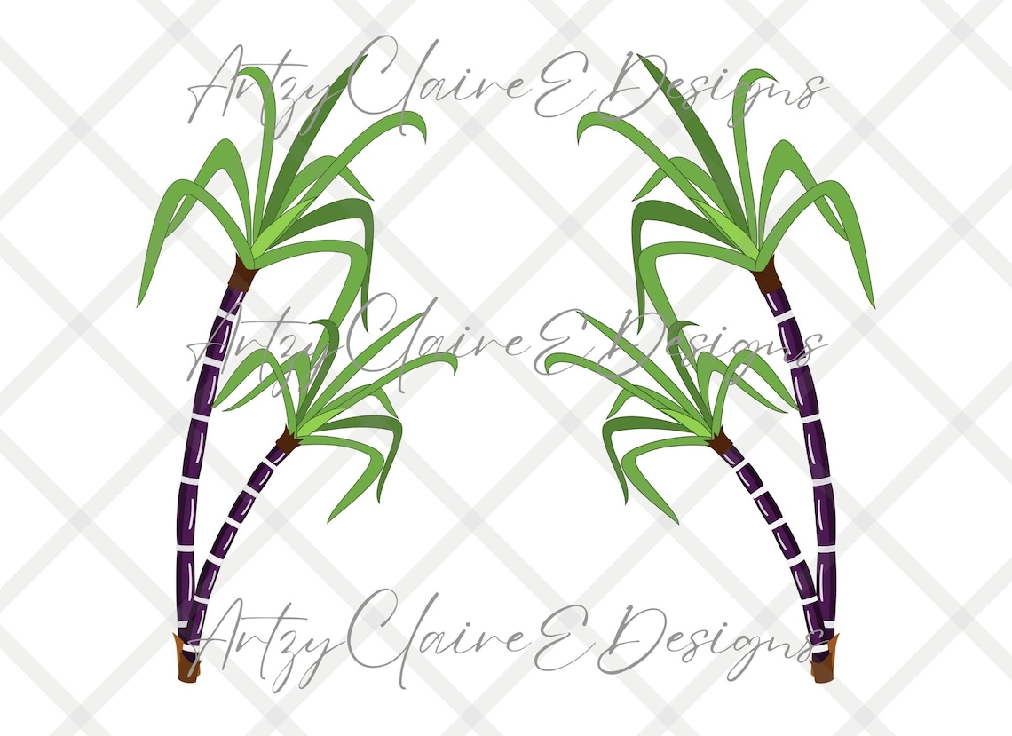 Pongal Pot and Sugarcane Tree, Makar Sankranti Pot, Sankranti Khumbam ...