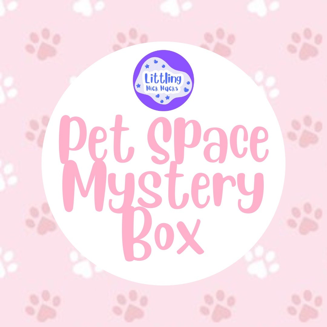 Pet Space Mystery Box, Kitten, Puppy, Bunny, Bear Surprise Box - Etsy